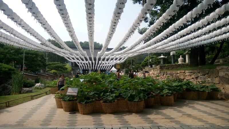 bong-eun-sa – sintayudisia.com